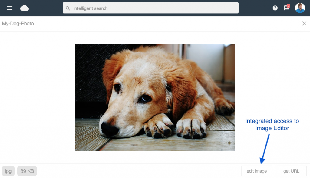 Cloud Based Image Editing